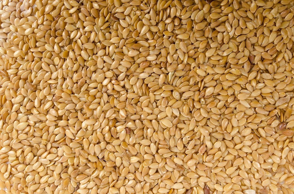 Bio SESAM – BioKing